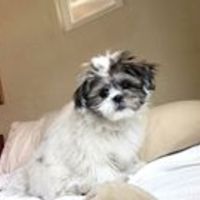 Ana Clarissa Rojas Durazo - University of California, Davis