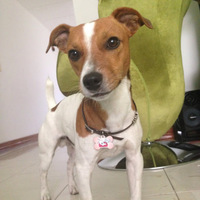 Angie Castaño - Pontificia Universidad Javeriana