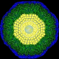 Cyd Ropp - Independent Researcher