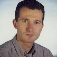 Giovanni Roman - Università degli Studi di Udine / University of Udine