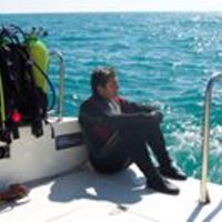 Mercedes Gallardo - Independent Researcher