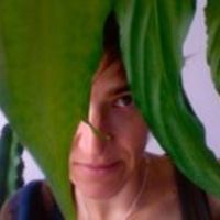 Stéphane Mitchell - New York University