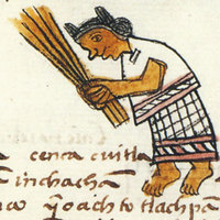 Louise Burkhart - SUNY: University at Albany