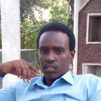 Abdullahi Farah Abdulle - Independent Researcher
