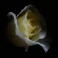 Eanass Al-Shabkhoon - Northern Technical University