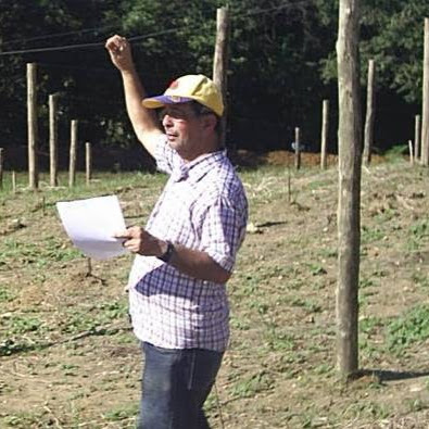 (PDF) Mancha fisiológica do mamão: uma perspectiva de obtenção de ...