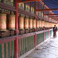 Xin Guo - University of Macau