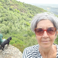 Simona Corradini - Università degli Studi di Firenze (University of ...