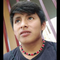 Edwin Lucero Rinza - Independent Researcher