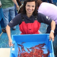 Mafalda Freitas | UMa Universidade da Madeira - Academia.edu