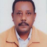 Tadesse Alemu - Independent Researcher