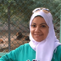 Aliaa Soliman's Instagram, Twitter & Facebook on IDCrawl