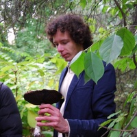 Andrey Matveev | Lomonosov Moscow State University - Academia.edu