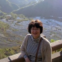 Yun Gao - University of Huddersfield