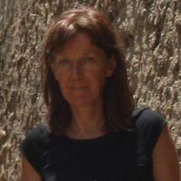 Anja van Heelsum - University of Amsterdam