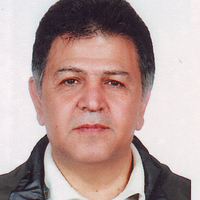 saeed parsa - Independent Researcher