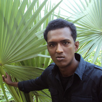 Mir Md. Ashraful Hanif - Independent Researcher