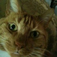 Mark Causey - Georgia College & State University