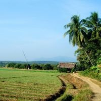 Sande Cohen - Independent Researcher