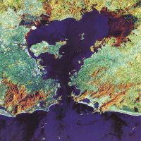 Lise F Sedrez - Universidade Federal do Rio de Janeiro (UFRJ)