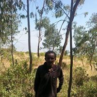 Teshome Gesset - Addis Ababa University