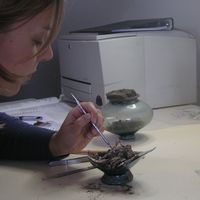 Caroline Laforest - Royal Belgian Institute of Natural Sciences