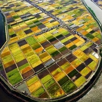 Koichi Kimoto - Kwansei Gakuin University