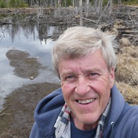 David W John - Independent Researcher