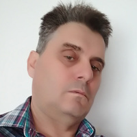 Ion Tanasa - Independent Researcher