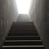 Luca R Perfetti - Università degli Studi di Bari