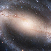 Qiu Xian-xin - Fudan University