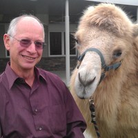 Michael Otten - INSEAD