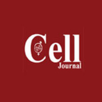 Cell Journal Yakhteh - Royan Institute