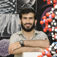 Aftab Afzal - Independent Researcher