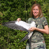 Jennifer Coulson - Tulane University