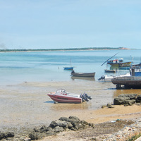 Michael Berti - University of the Witwatersrand