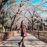 Sally Jamal - Independent Researcher