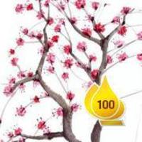 Isabelle Soucy Chartier - Université Laval