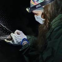Daniela Bôlla - Instituto Nacional de Pesquisas da Amazônia