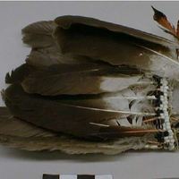 Ellen Pearlstein - University of California, Los Angeles