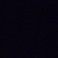 Neil Harding - Independent Researcher