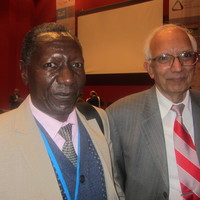 Prof Didas Kimaro - Independent Researcher