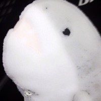 Hana TAKEUCHI - Osaka University