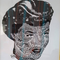 Diana Maria Farias Camero - Academia.edu