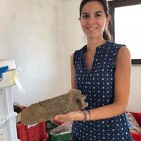 Laura Pisanu - University of Melbourne