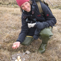 Martin Bulla - Max Planck Institut für Ornithologie
