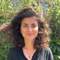 Sarah Bahadori Motlagh - University of Amsterdam