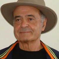 ROBERT PICCIOTTO - Independent Researcher