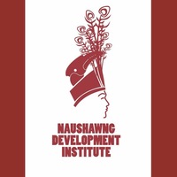 Naushawng Development Institute - Independent Researcher