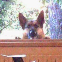 Federico Pierucci - Università degli Studi "La Sapienza" di Roma